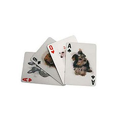 3-D Dog Playing Cards - - Fat Brain Toys