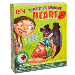 Disgusting Anatomy Heart - - Fat Brain Toys