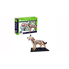 4D Vision Dog Anatomy Model - - Fat Brain Toys