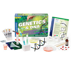 Genetics & DNA - 2.0 Edition - - Fat Brain Toys