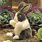 Baby Dutch Rabbit Puppet - Best Imaginative Play for Ages 3 to 7